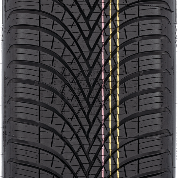 Dunlop All Season 2 175/65 R14 86 H XL Tyres | Oponeo.ie
